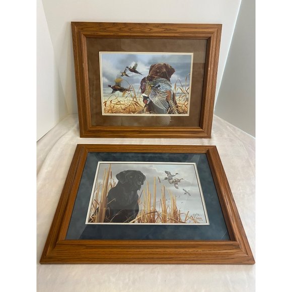 Scot Storm | Art | Scot Storm Field Companion Labsignedframes Set Of 2 ...